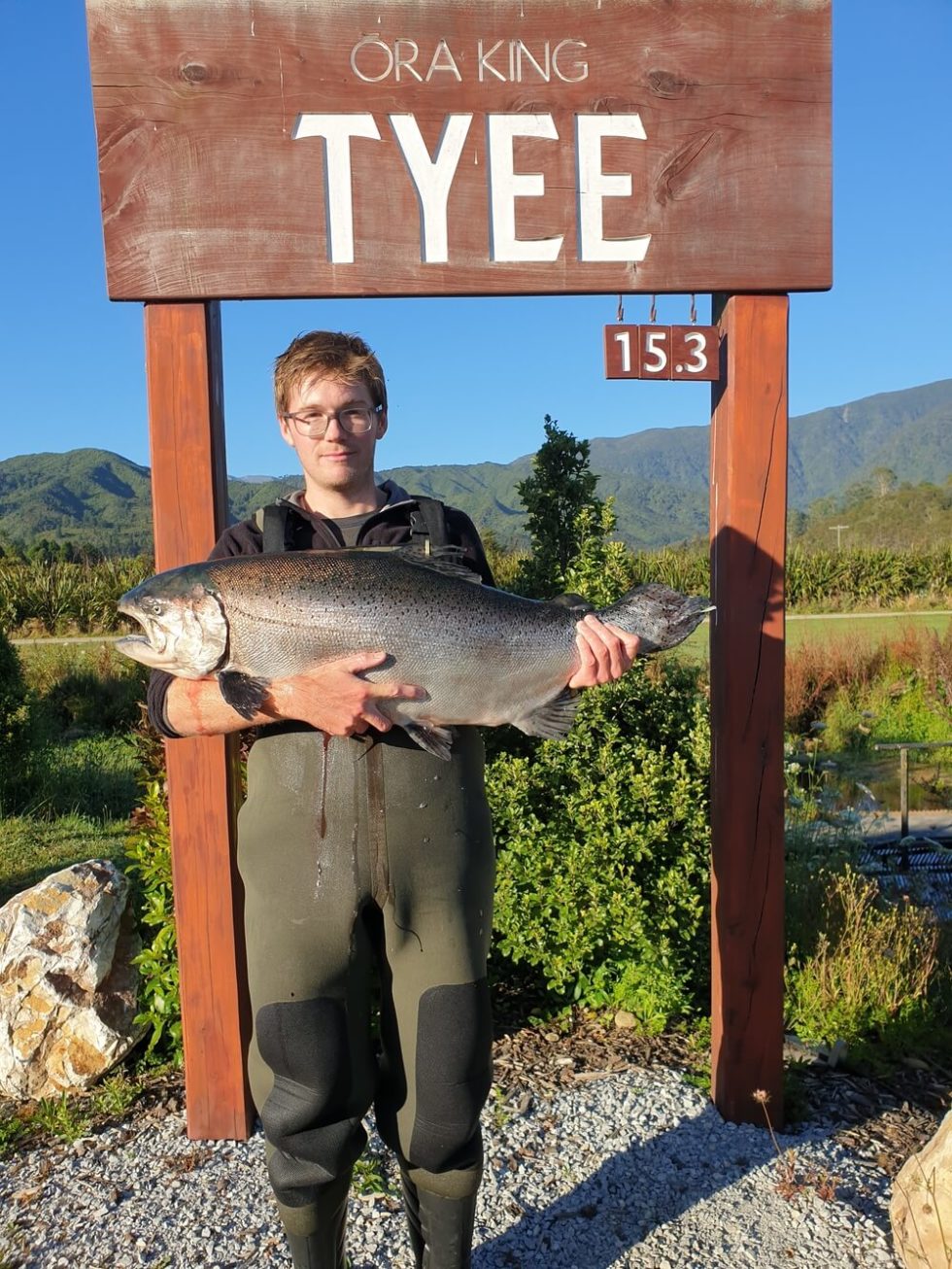 Largest King salmon ever sold to home chef - Ōra King